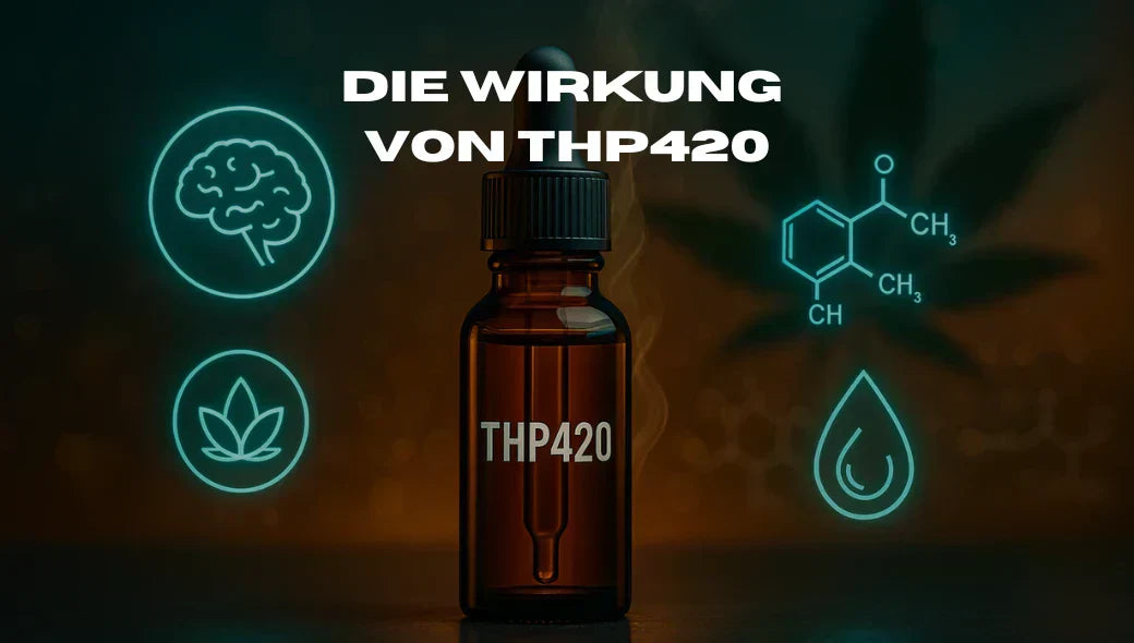 Wie wirkt THP420? - HHC Kiosk Berlin | HHC Kiosk Berlin